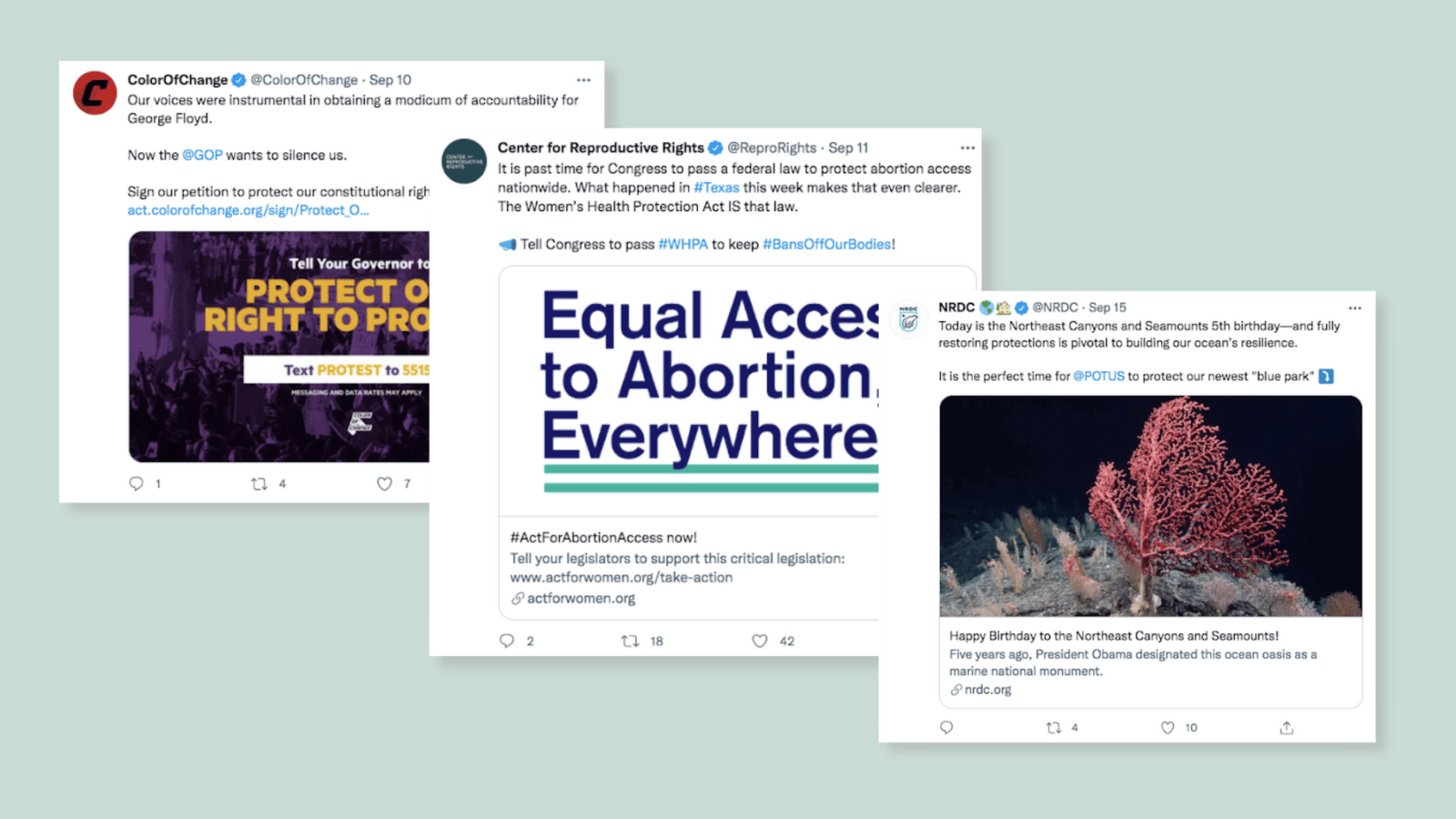 9 Tips for Creating a Social Media Advocacy Campaign | Media Cause